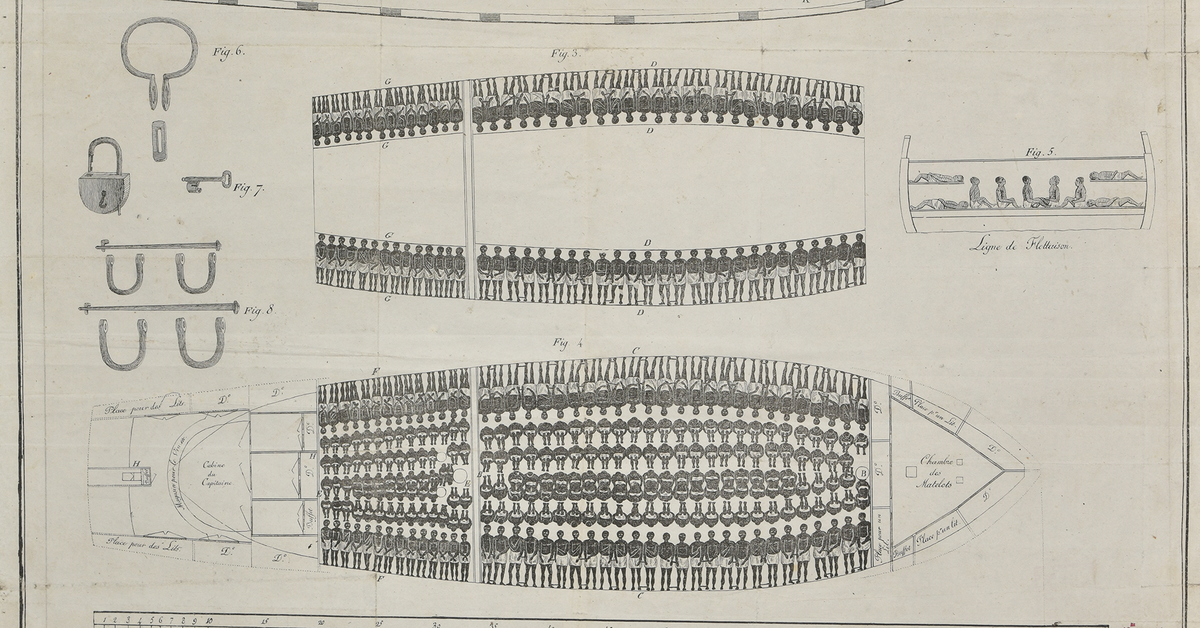 Plan of the brig negrier la vigilante and its interior fittings | Musée ...