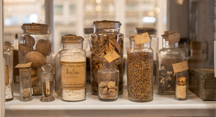 The Naval Medical School’s crude drug collection | Musée national de la ...